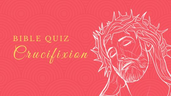 Story of Creation Bible Quiz – Bible Potato