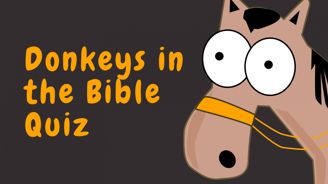 John the Baptist Bible Quiz – Bible Potato