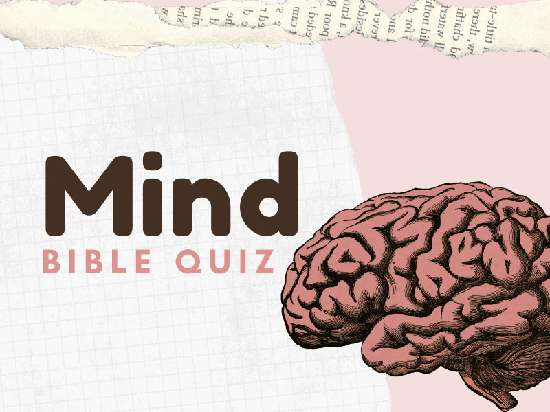 Mind Bible Quiz – Bible Potato
