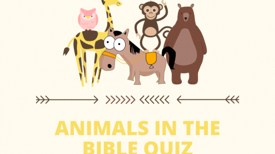 The Four Gospels Bible Quiz – Bible Potato