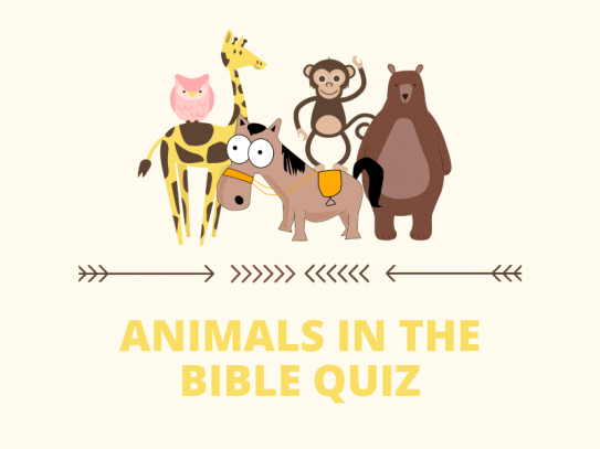 Animals In The Bible Quiz – Bible Potato